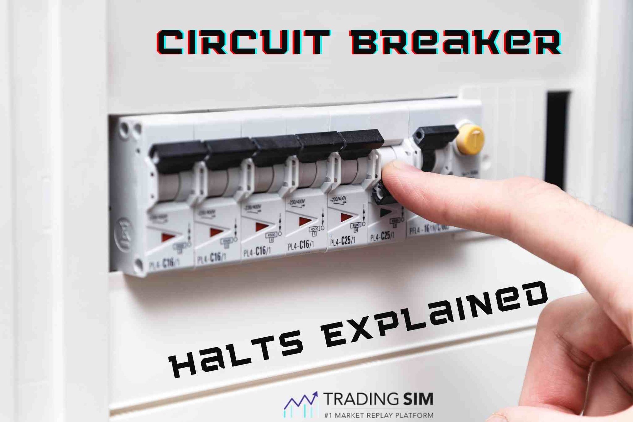 Stock Halts and Circuit Breaker Halts Explained | TradingSim
