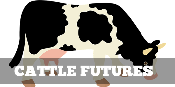 6 Key Things You Need to Know about Cattle Futures | TradingSim