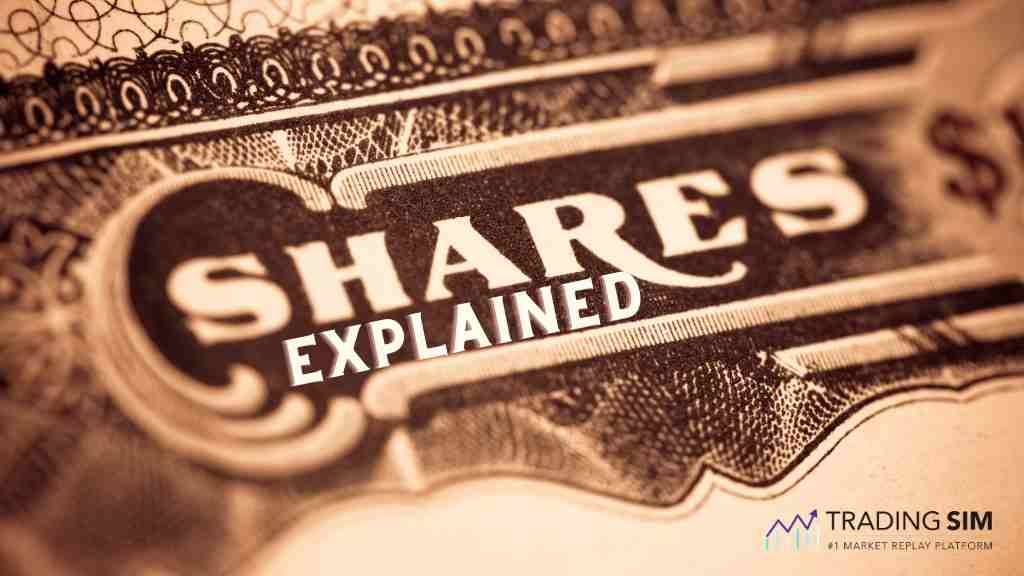 What Are Shares in Stocks? | TradingSim